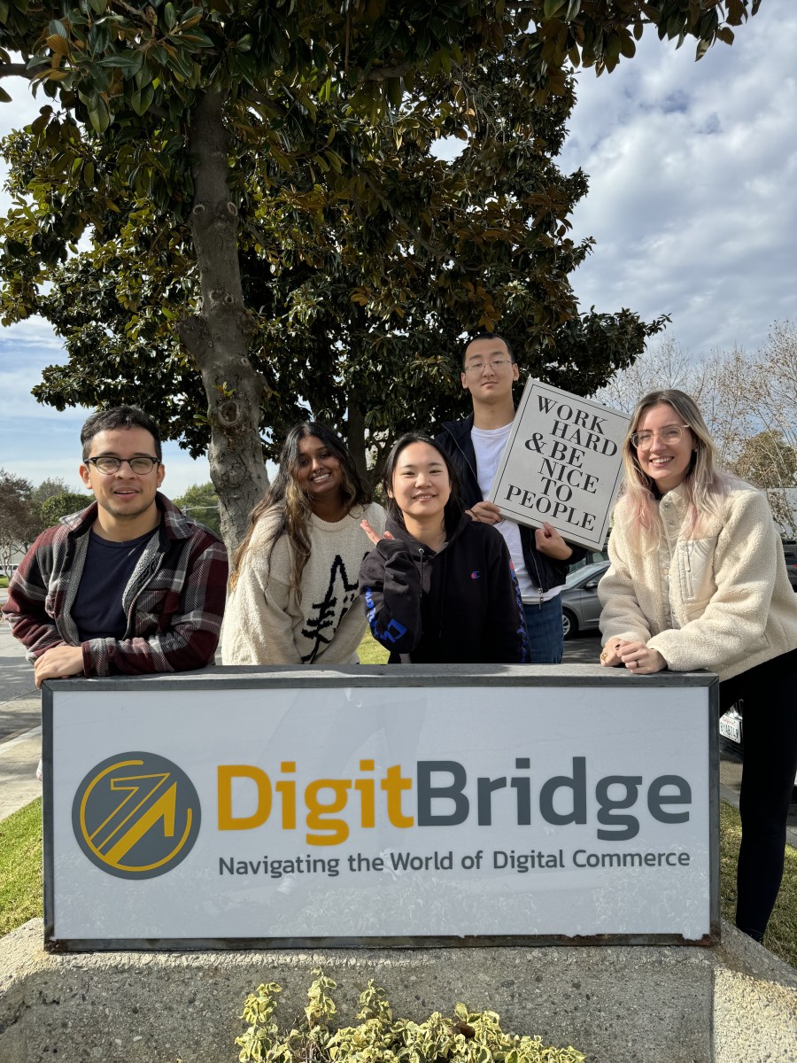About Us - DigitBridge